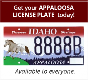 ShowCalendar - Appaloosa Horse Club