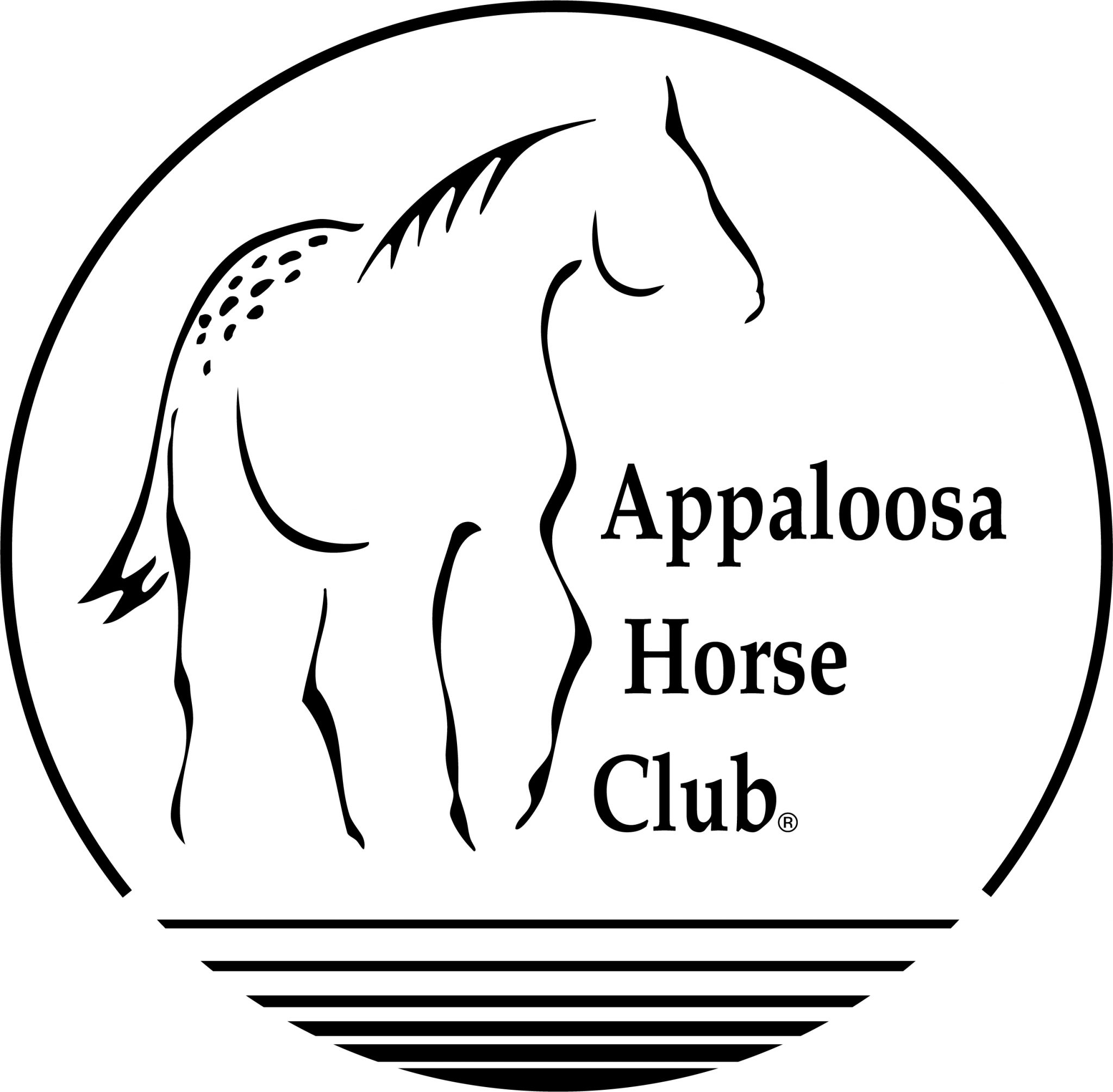News - Appaloosa Horse Club